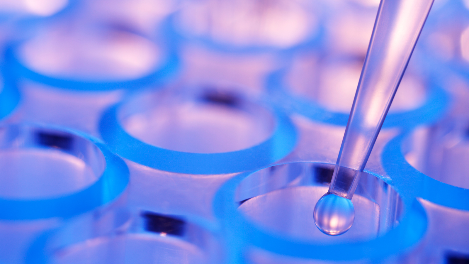 Science Spotlight: October 2024 - Brigham Clinical & Research News